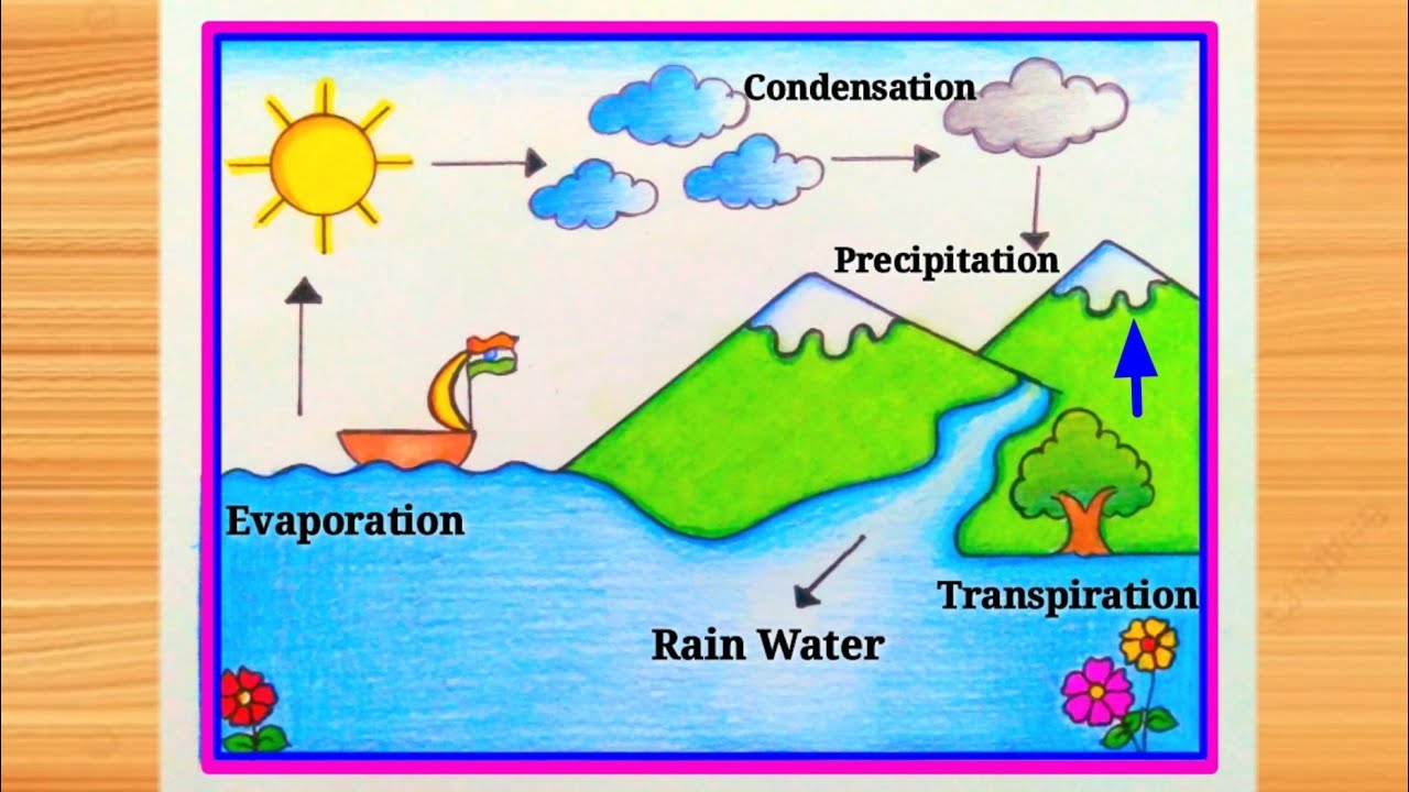 How to draw water cycle step by step / Water cycle for school project ...