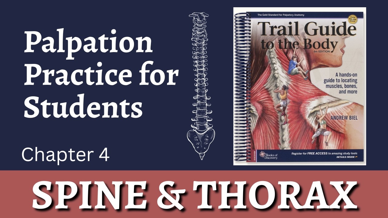 Palpation Test Series: SPINE & THORAX - YouTube