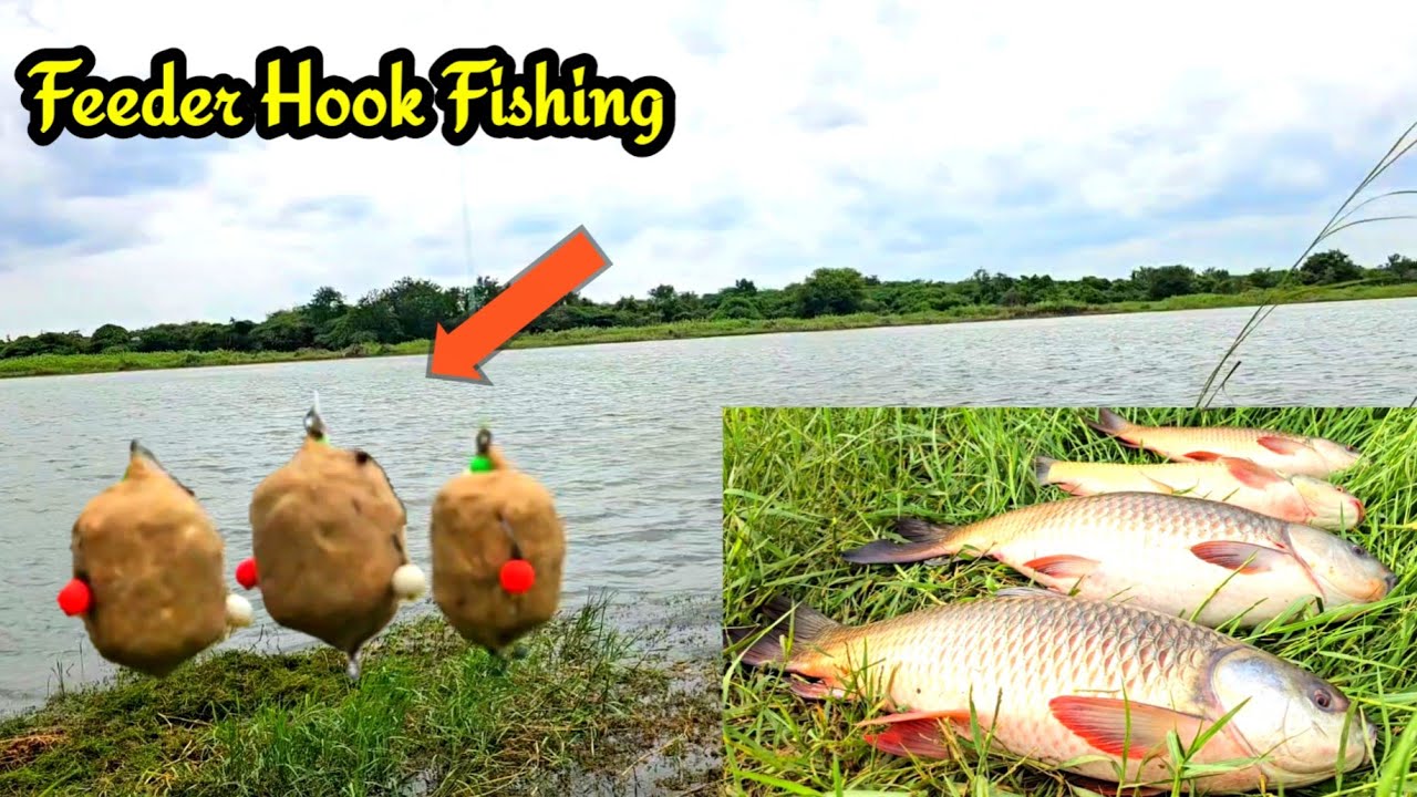 Amazing Fishing | Fisherman Catching Big Rohu Fish | Feeder Hook ...