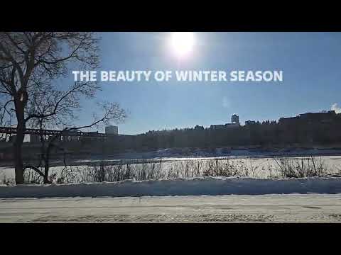 BEAUTY OF WINTER SEASON | sbee