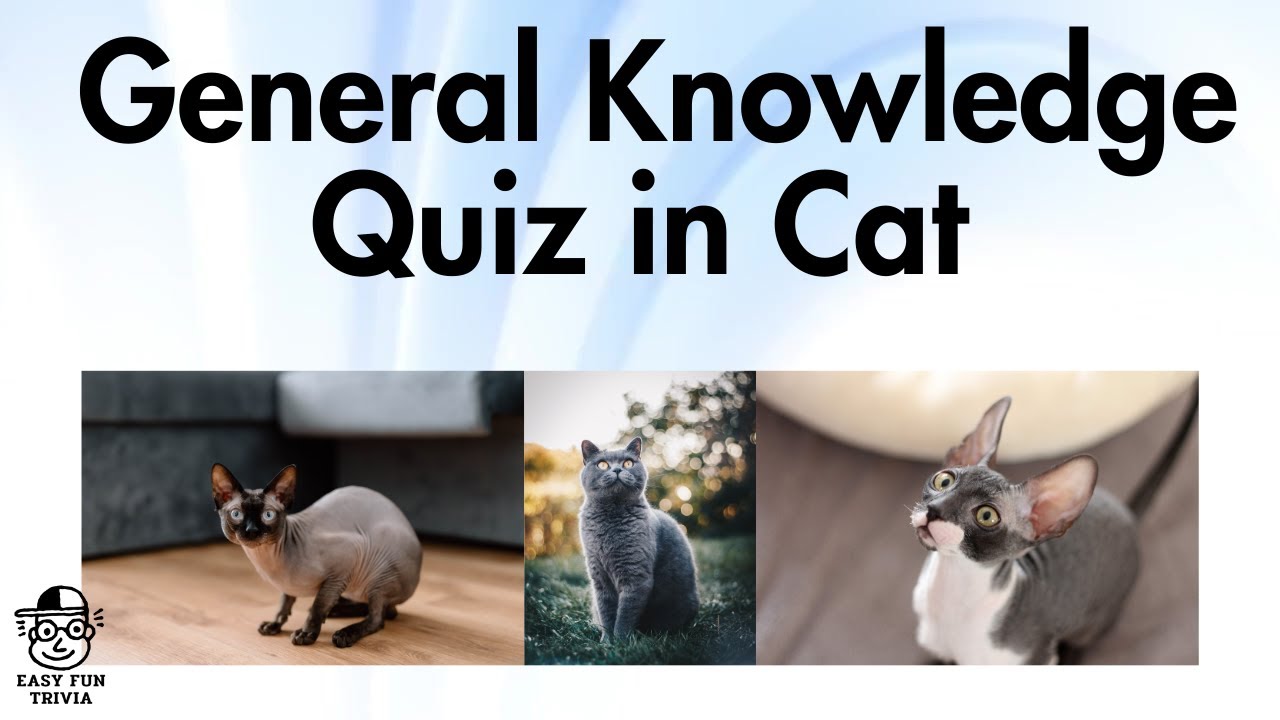 30 General Knowledge Questions! How Good is Your General Knowledge ...
