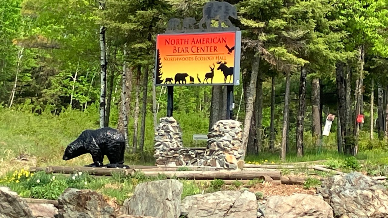 Let’s go to the North American Bear Center - YouTube