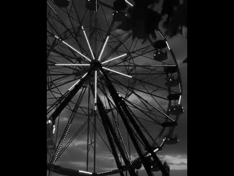 ❤️🌹 WhatsApp üçün maraqlı videolar