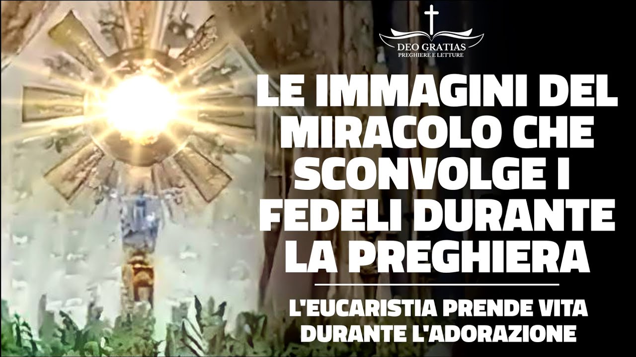 L'eucaristia prende vita durante l'adorazione, le straordinarie ...