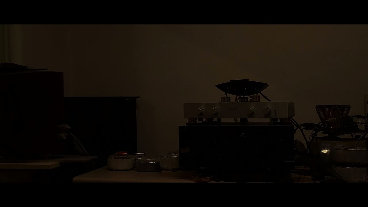 OneRepublic - Wild Life - YouTube