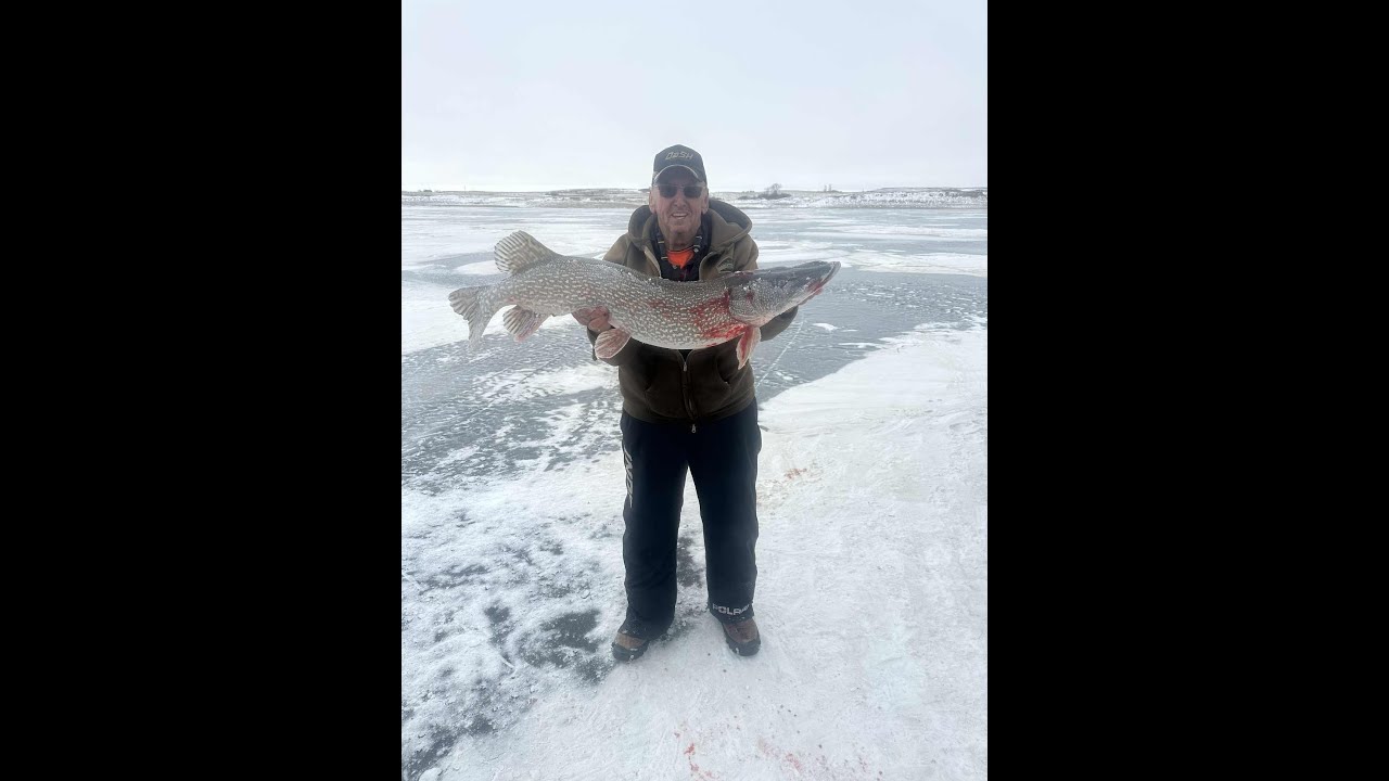 Shaky Shaft Addicts 1-29-2026 Denny & Robert 50 Pounds of PIKE - YouTube