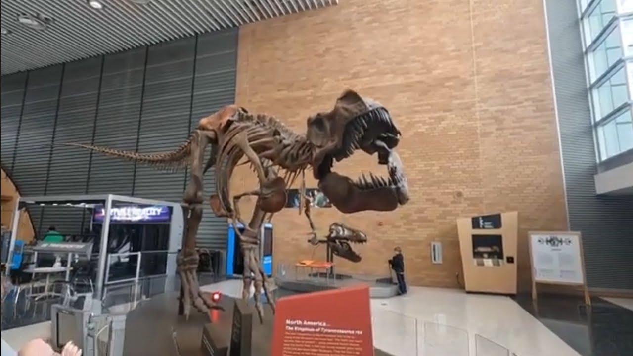 Science Musuem Of St Paul Minnesota Tour - Your Chance To Enjoy The Fun ...