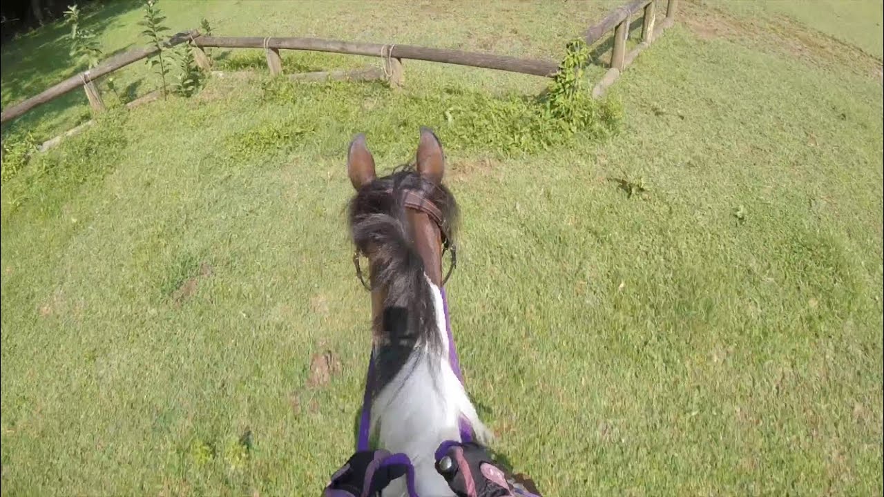 GoPro HORSE RIDING CROSS COUNTRY SCHOOLING!! - YouTube