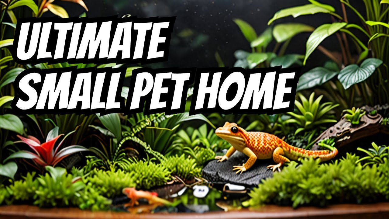 Ultimate Small Pet Habitat? Zilla Micro Habitat Terrarium Review for ...