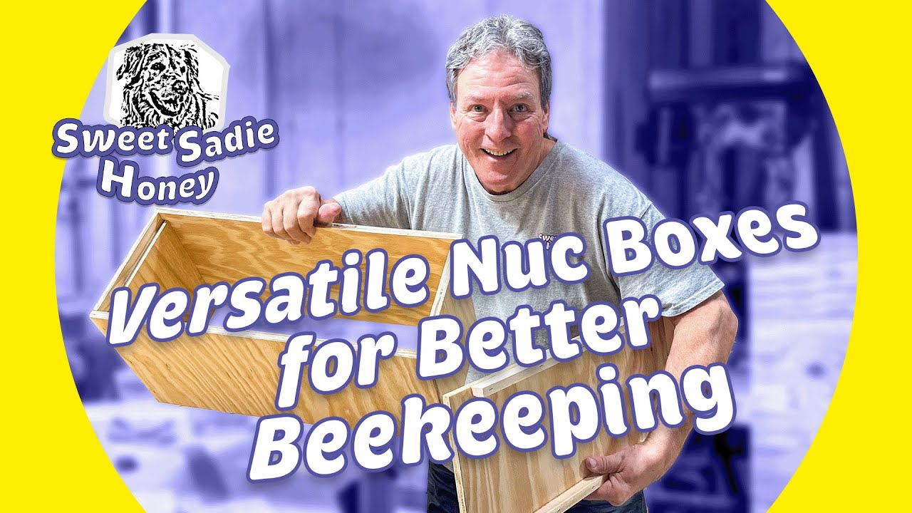Building Versatile Nuc Boxes for Better Beekeeping - YouTube