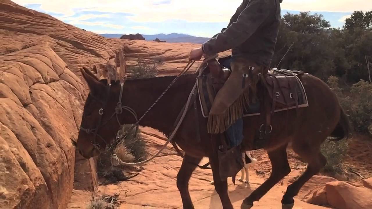 Slo-mo mule jump - YouTube
