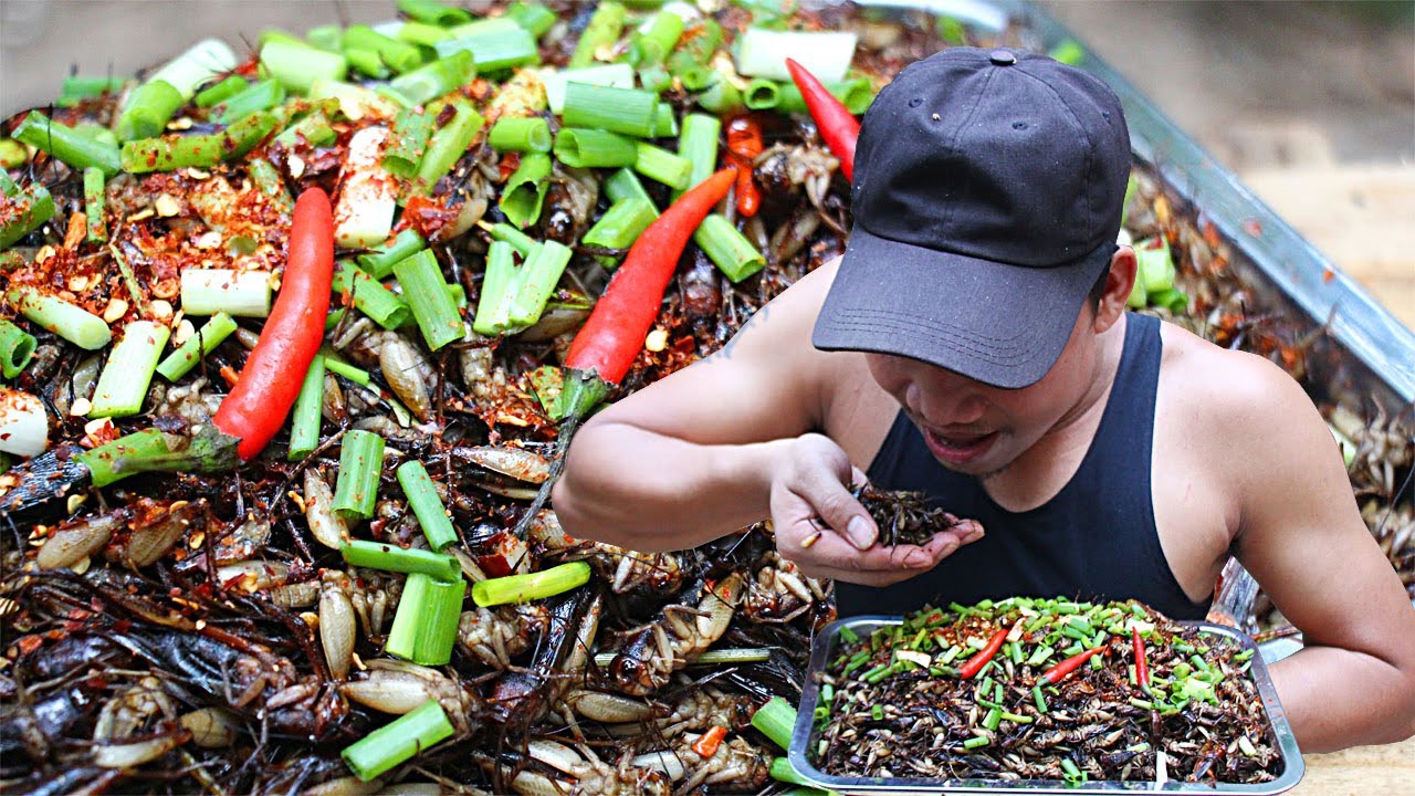 Cooking Cricket Bugs Eating So Crispy Delicious - Cook insect,Bugs ...