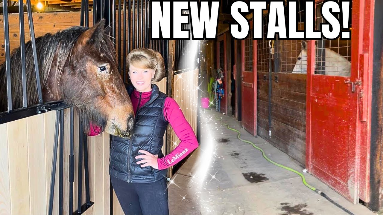 Our Complete Horse Stall Renovation! The Final Result Will Blow Your ...