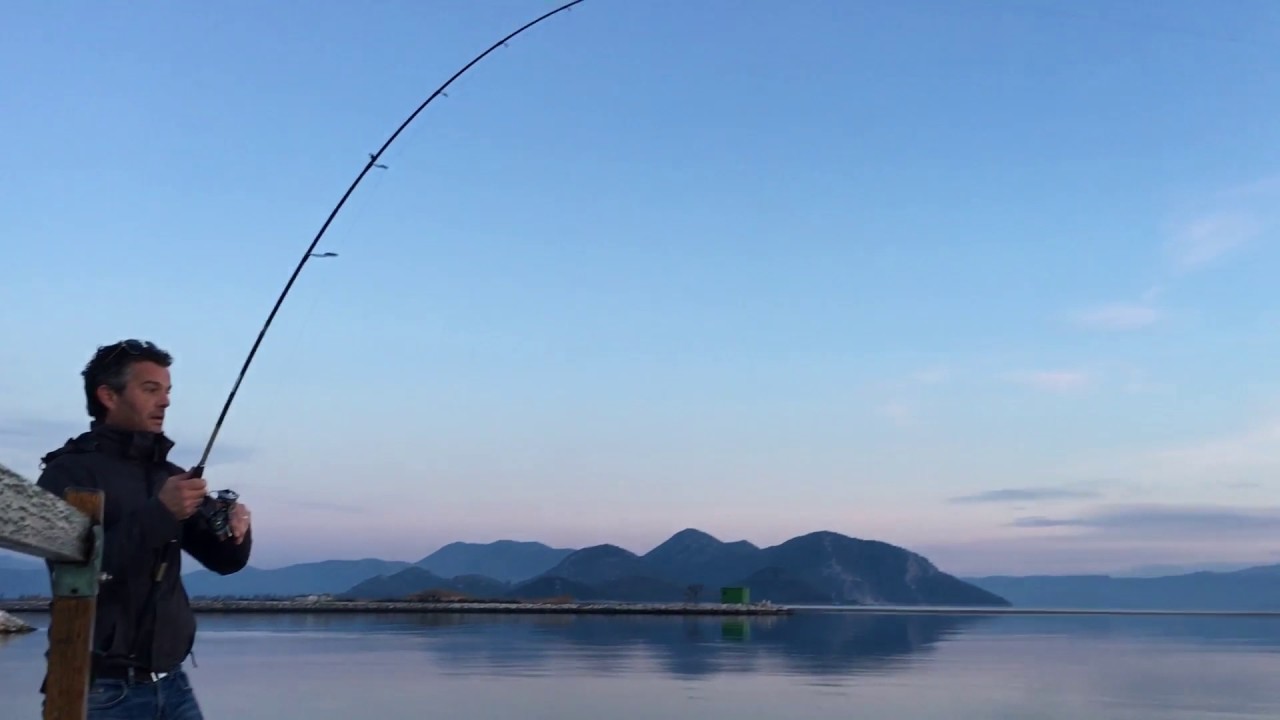 Bluefish fishing Croatia - YouTube