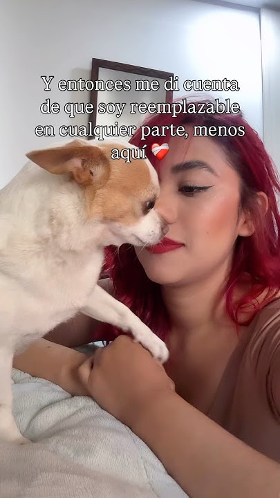 Renata Gabriela te amo con todo mi ser 🥹♥️ #bogota #humor #chihuahuafanclub #chihuahua #colombia ...