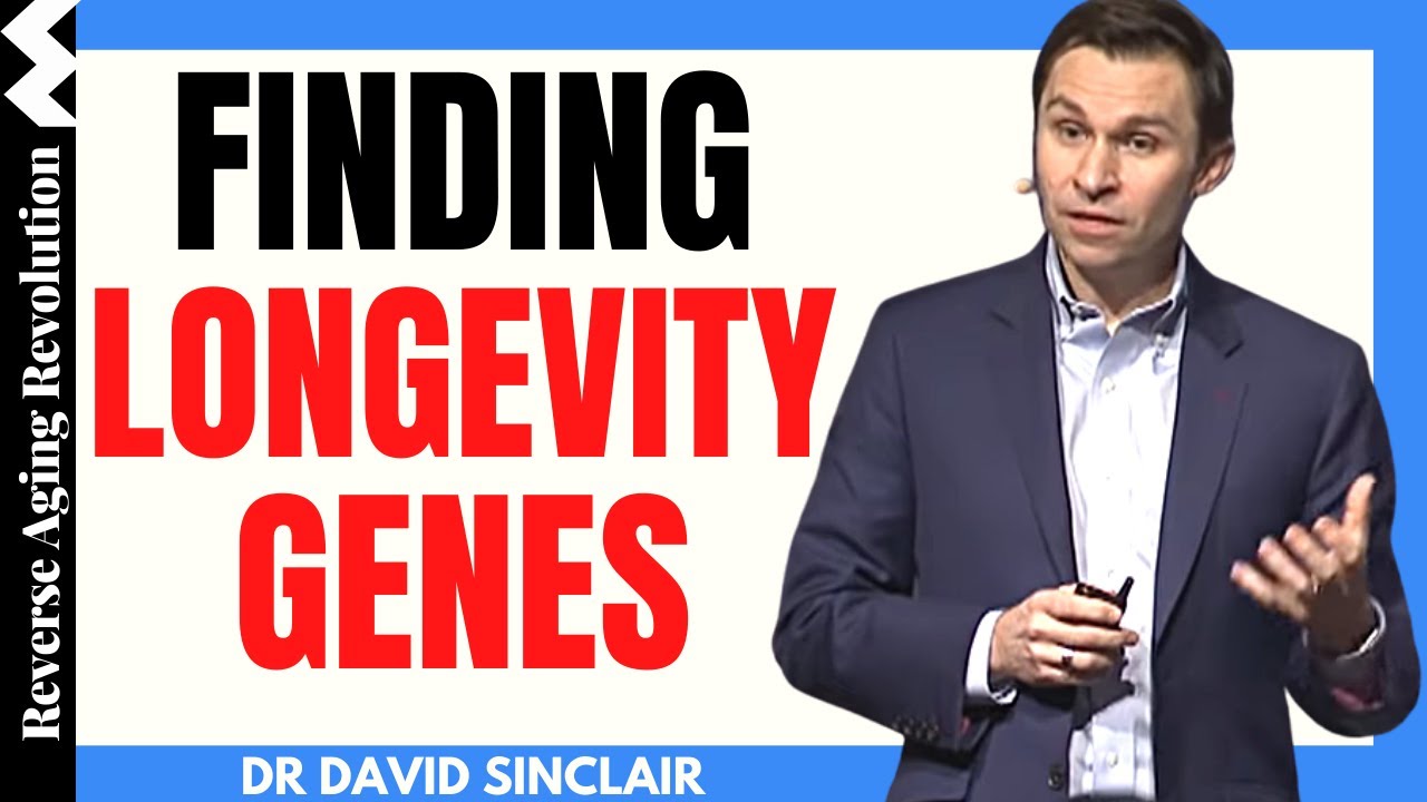 Finding LONGEVITY GENES | Dr David Sinclair Interview Clips | Reverse ...