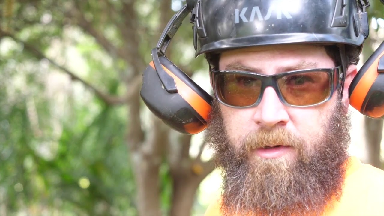 Alex's Vegetation - Arboriculture - YouTube