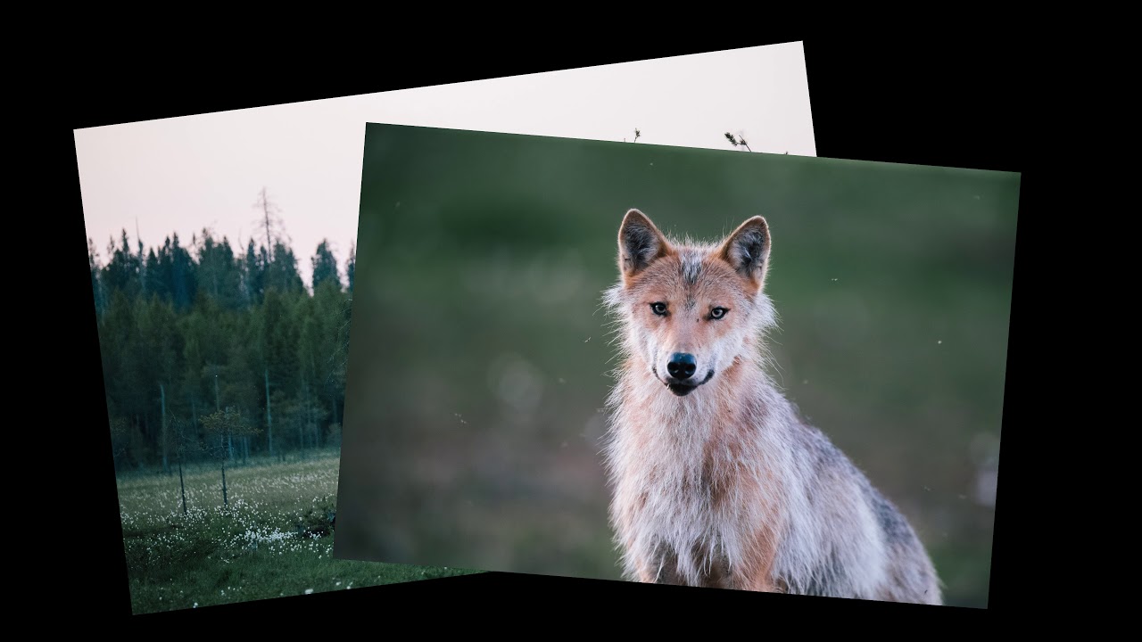 Haastattelussa Lassi Rautiainen: Miltä koronakesä 2020 näyttää? - YouTube