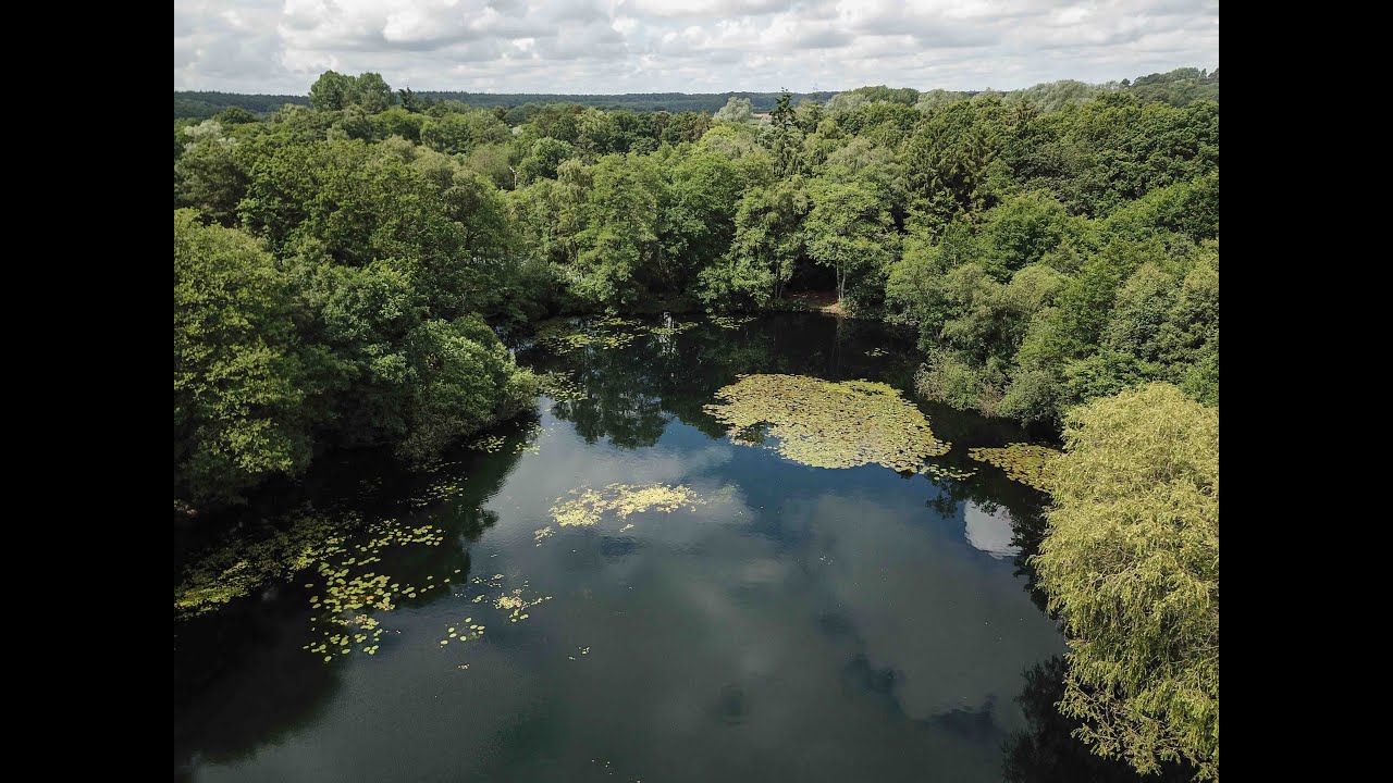 Taverham Mill, Norwich - YouTube