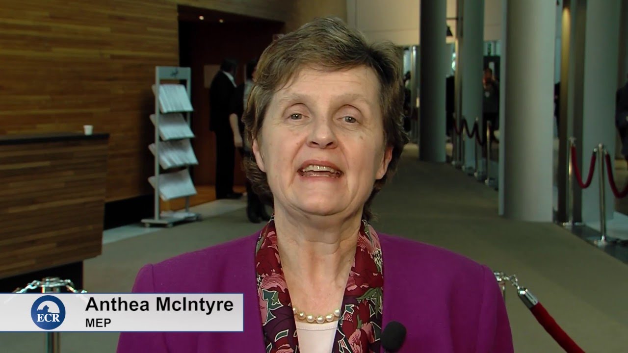 Anthea McINTYRE MEP on better law-making agreement - YouTube