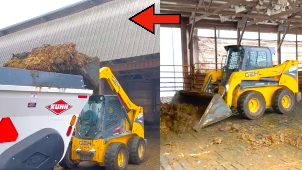 Before and After Scraping Manure in the Cold! - YouTube