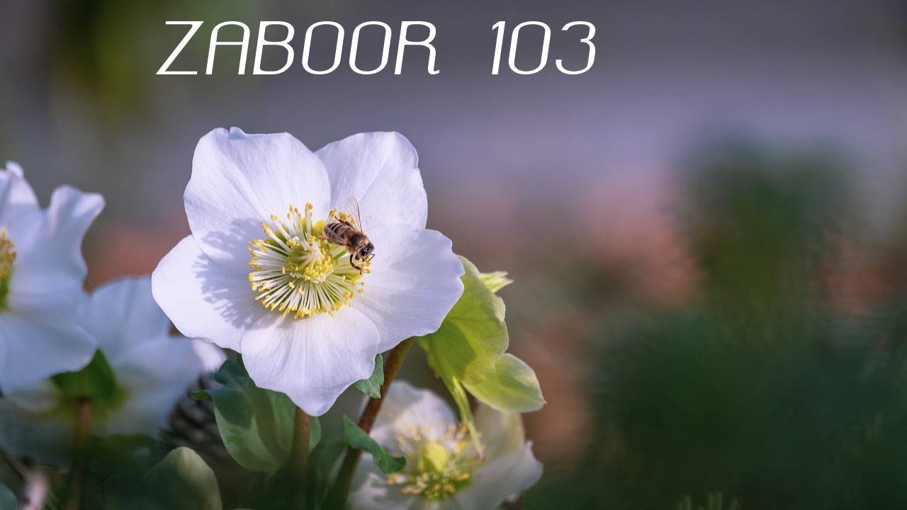 ZABOOR 103 URDU HINDI PSALM 103 BIBLE READING URDU HINDI MASHI zaboor-103-urdu-hindi-psalm-103-bible-reading-urdu-hindi-mashi