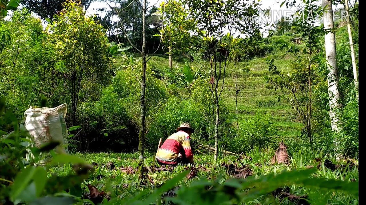 EXPLORE NATURE. LIFE IN THE VILLAGE - YouTube