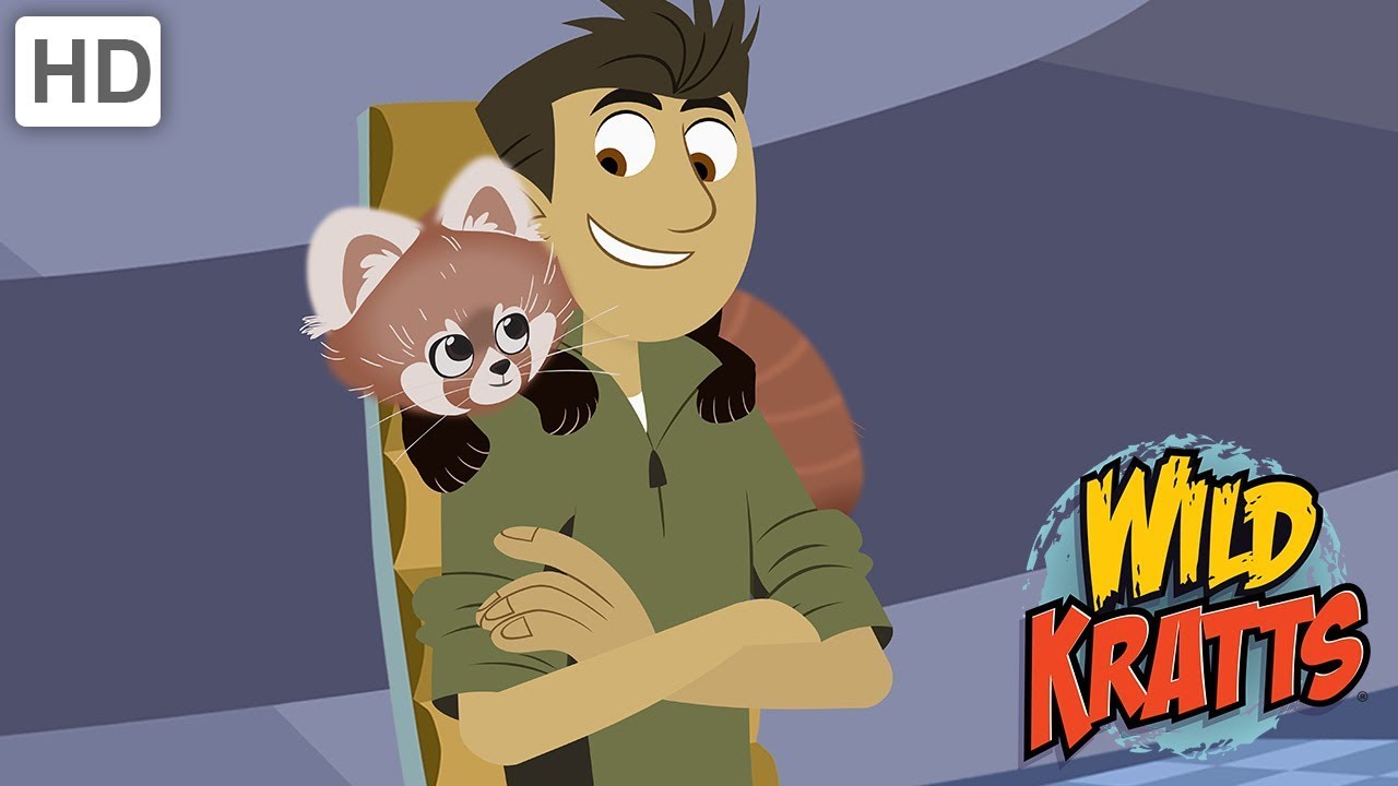 Wild Kratts - Exploring Fascinating Creatures - YouTube
