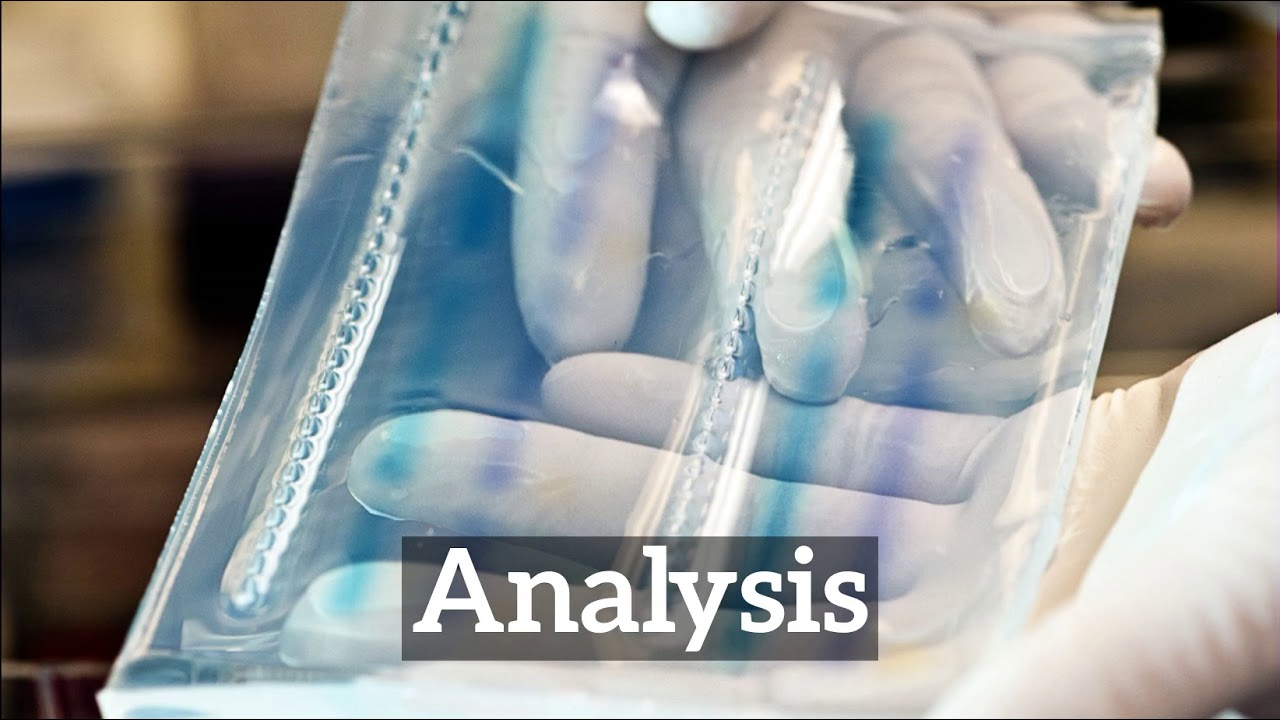 What is Analysis? | How Does Analysis Look? | How to Say Analysis in ...