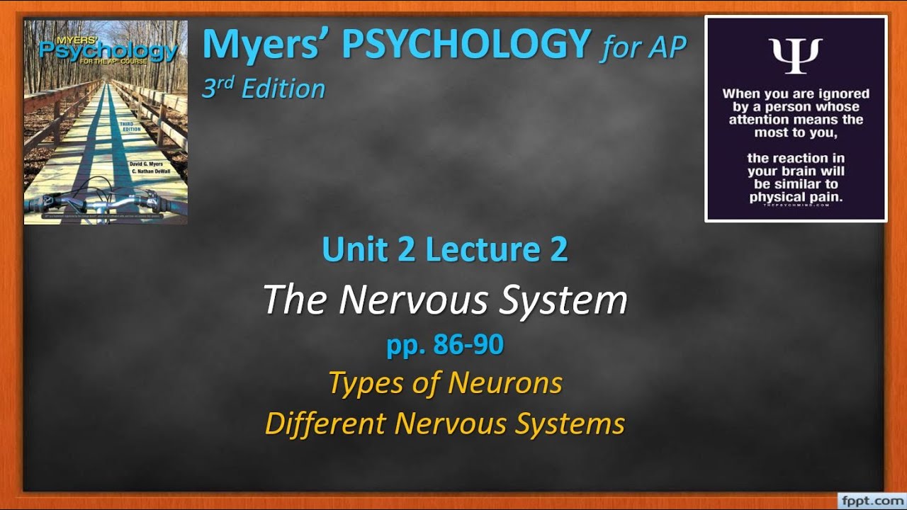 AP-DC Psych Unit 2 Lec 2 VIDEO Nervous System (J Porter CWHS - Updated ...