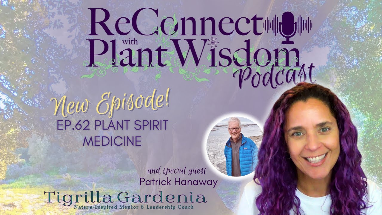 Ep.62 Plant Spirit Medicine with Patrick Hanaway | ReConnect with Plant ...