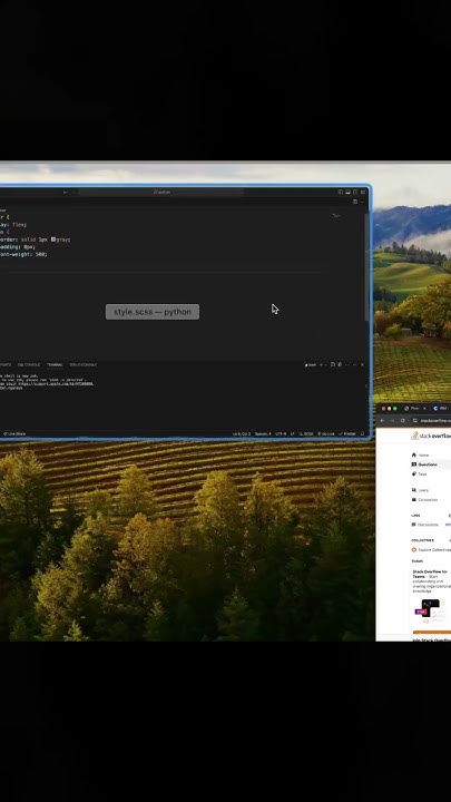 99% of developers on Stack Overflow are unaware of this! #coding #programming #stackoverflow ...