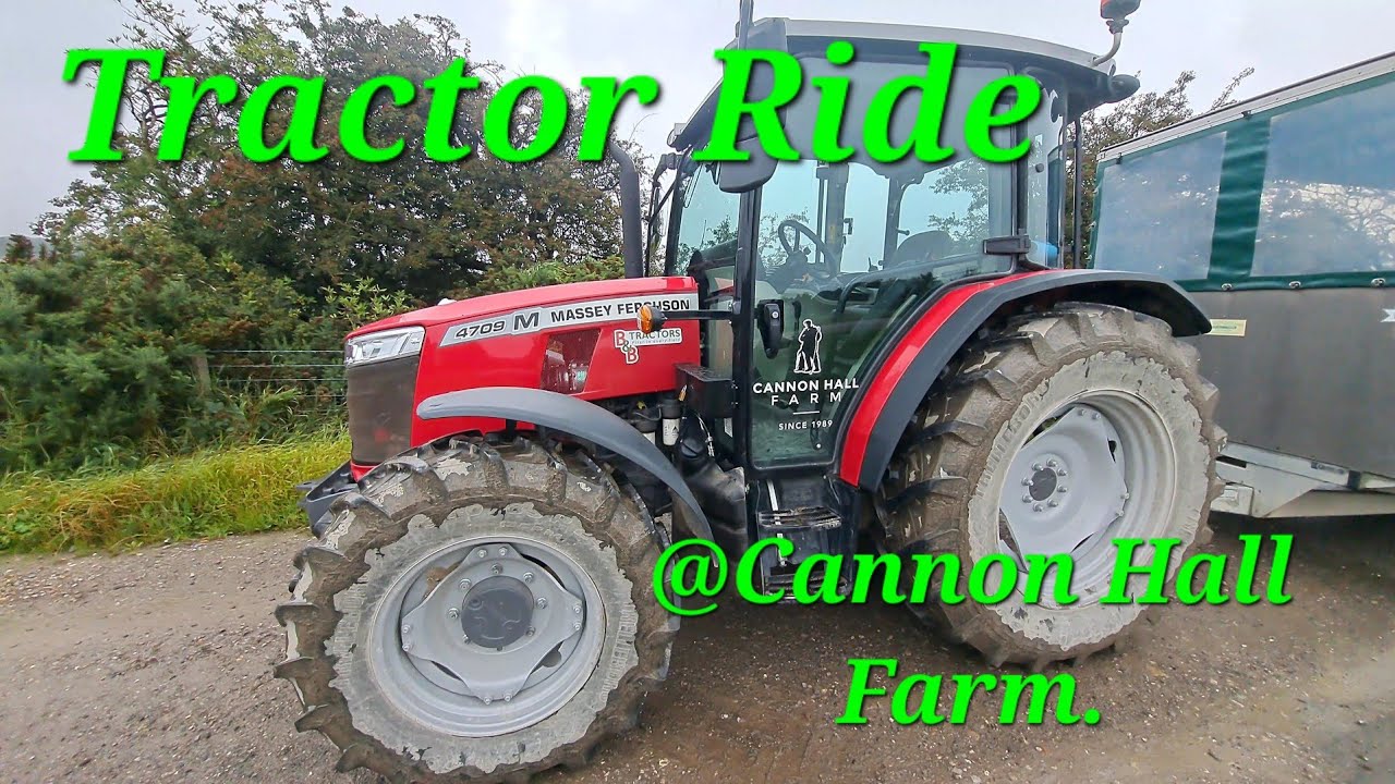 Cannon Hall Farm, Hold Tight Massey tractor ride, Sheep& ferret racing ...