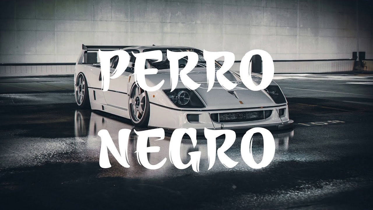 Bad Bunny x Feid - PERRO NEGRO (Letra/Lyrics) - YouTube