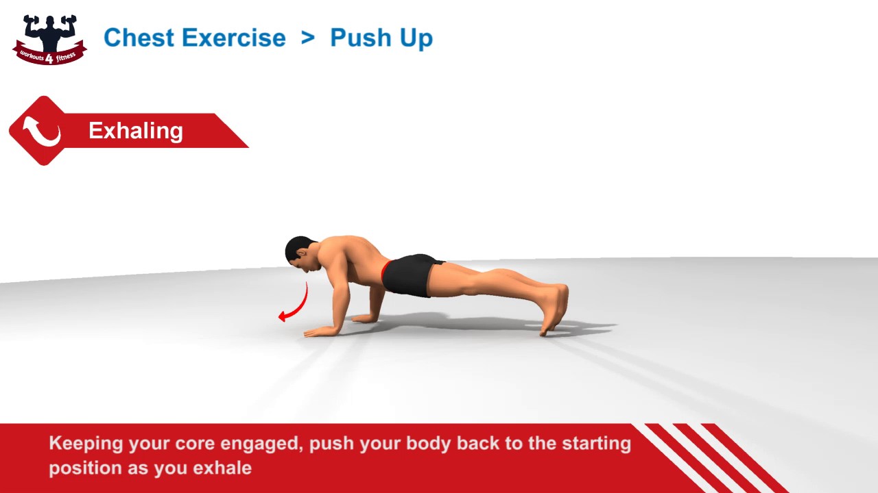 Chest Workout : How to do Push Ups (Burns 85 Calories) - YouTube