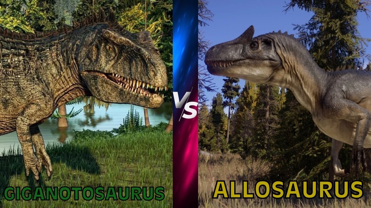 Giganotosaurus Vs Allosaurus Skeletal Reconstructions Of Three