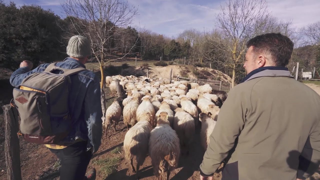 De Sol a Sol - Capítol 36. La Selva - YouTube