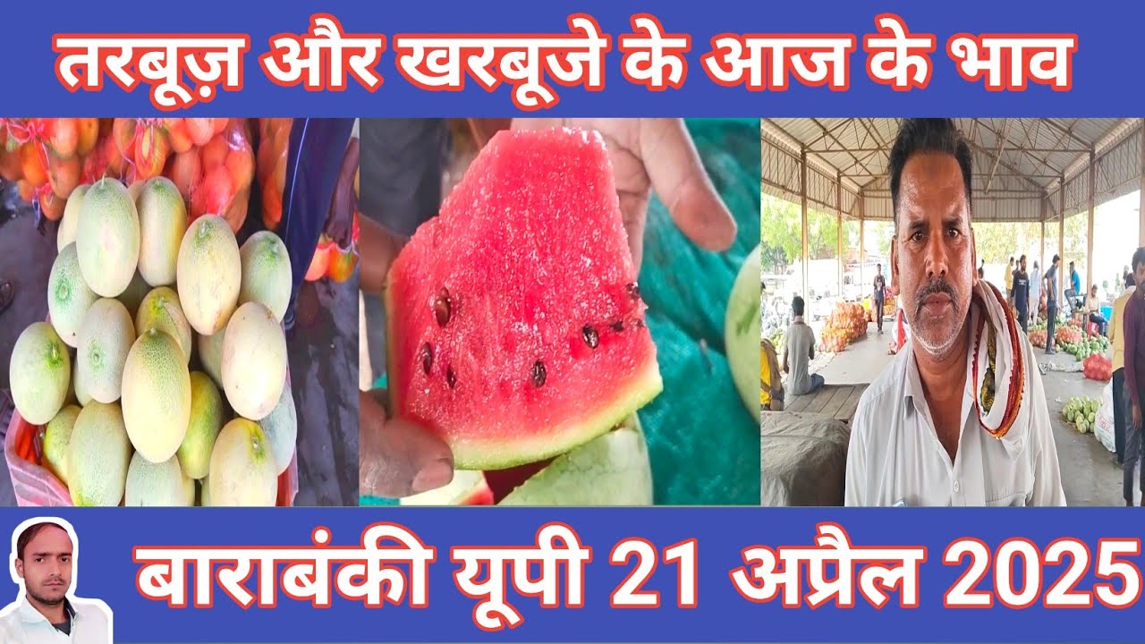 तरबूज़ और खरबूजे के आज के भाव 21अप्रैल 2025🍉tarbuj ka bhav today🍉 ...