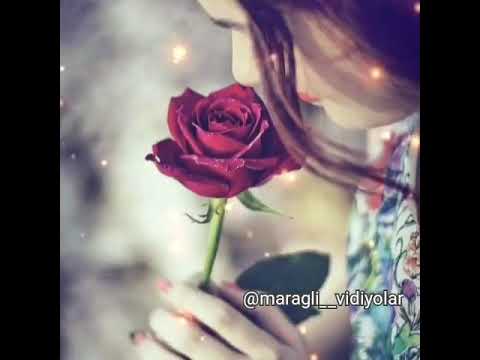 ##Whatsapp üçün qısa vidyolar##