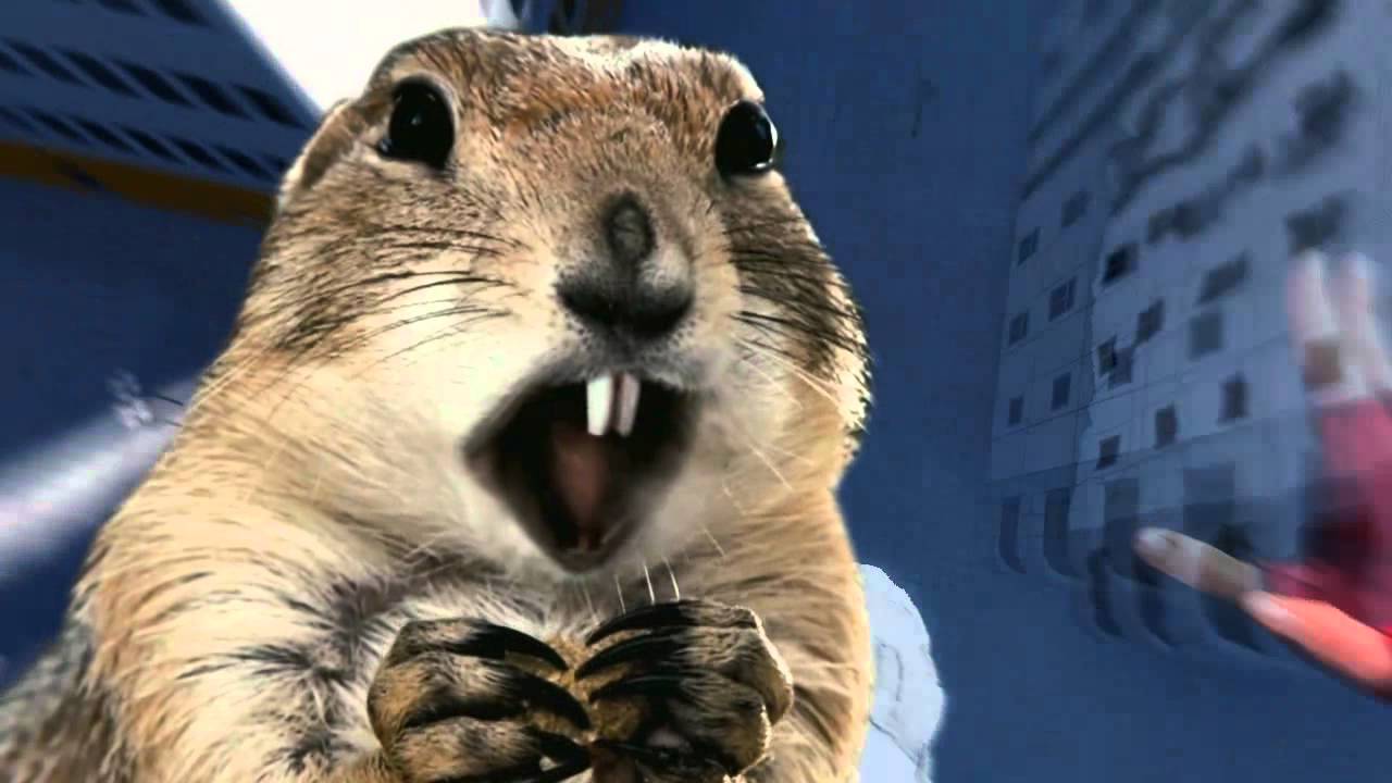 Scared Chipmunk in Mirror's Edge - YouTube