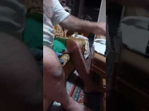 babayla yastık kavgasi