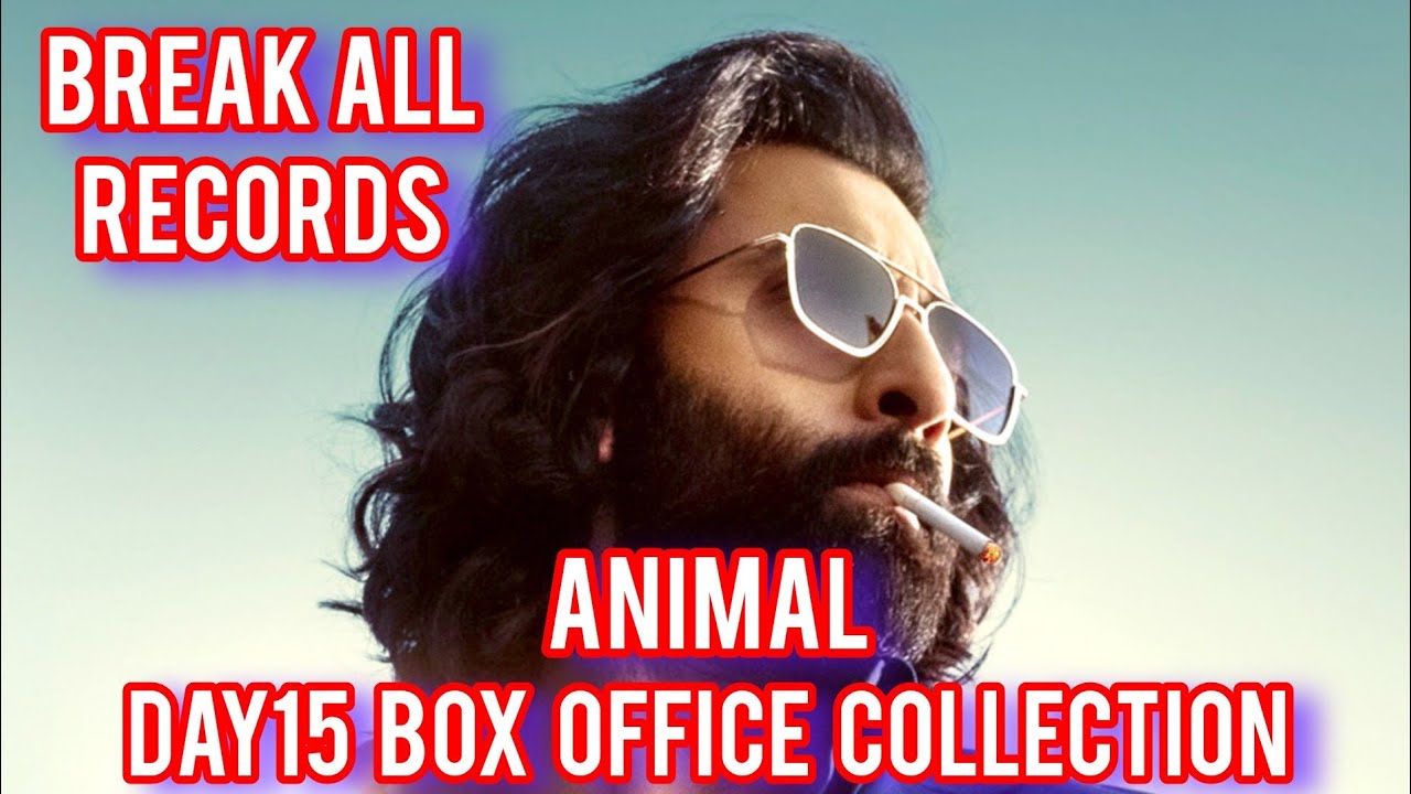 Animal Box Office Collection | Animal Day15 Box Office Collection ...