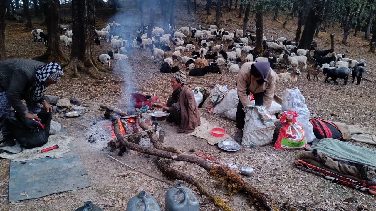Shepherd Nomadic Family | Primitive Rural Village | Ep 2 | - YouTube