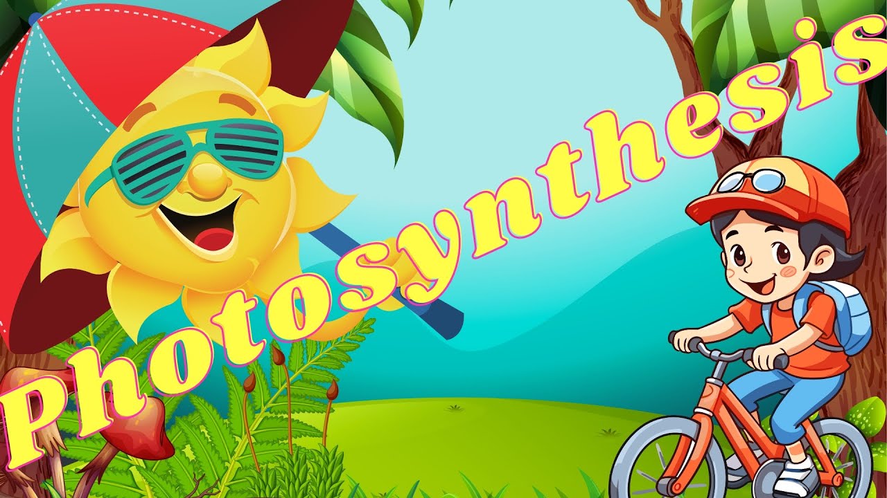 Photosynthesis for kids | Kid-Friendly Facts About Plant Magic | Kids ...