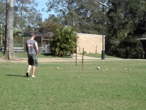 The Plover bird attacks - YouTube