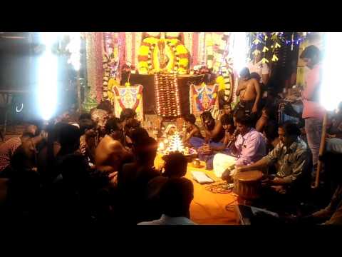 Pampai RAJKUMAR.T  kithiripettai