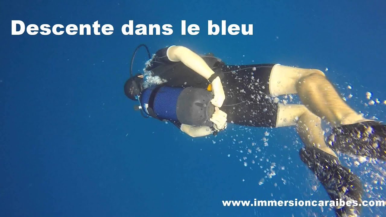 Descente dans le bleu, formation Niveau 2 avec Plongée Immersion ...