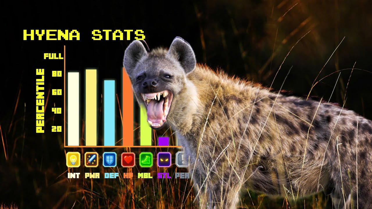 Are hyenas strong? - YouTube