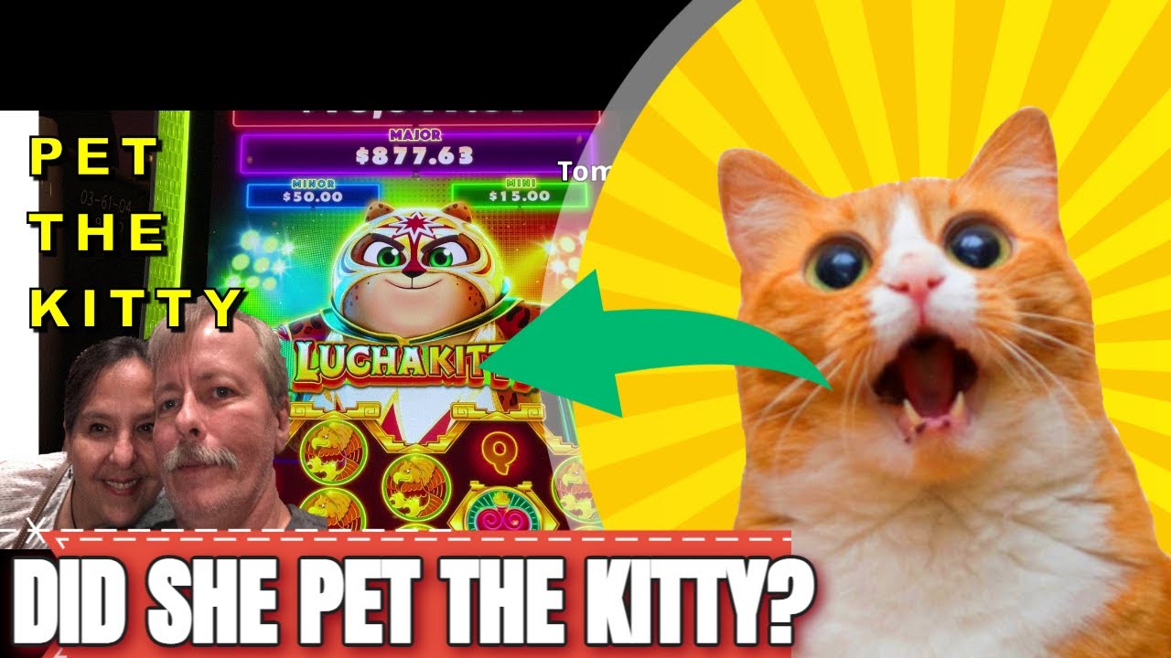 LUCHA KITTY Slot Machine Wins At Four Winds Casino - YouTube