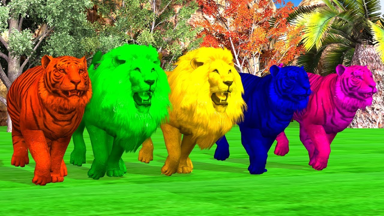 Lion And Tiger Finger Family Song for kids,colors Finger family rhymes ...